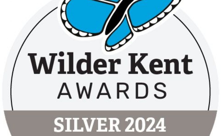 Ramsgate Holy Trinity C.E. (Aided) - Silver Kent Wilder Award,